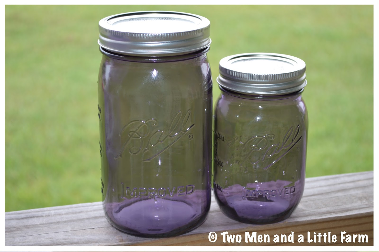 HOw To PURPLE BALL CANNING JARS