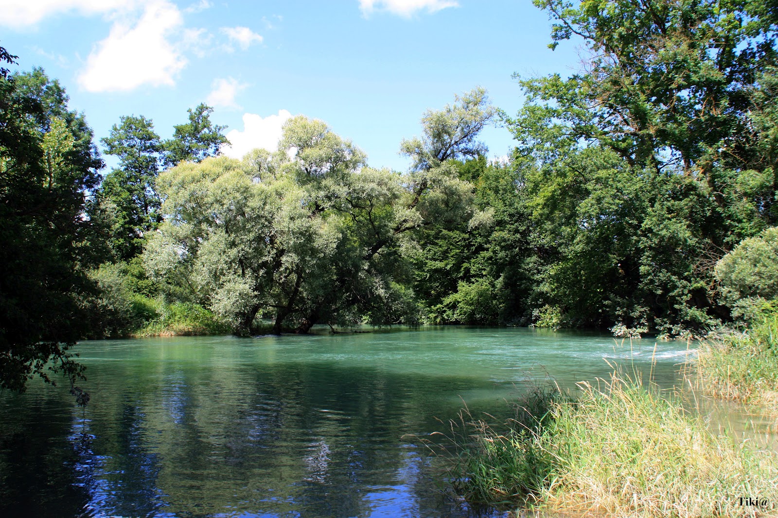 L'île de Rhinau, une petite jungle rhénane l’île vous invite à la ...