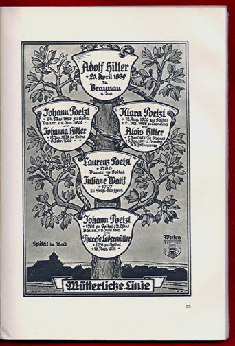 NS History: Aus Adolf Hitlers Heimat