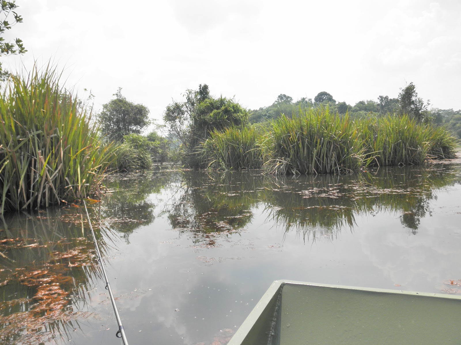 "Enjoy Travel & Fishing Life": Trip to Maran, Pahang.