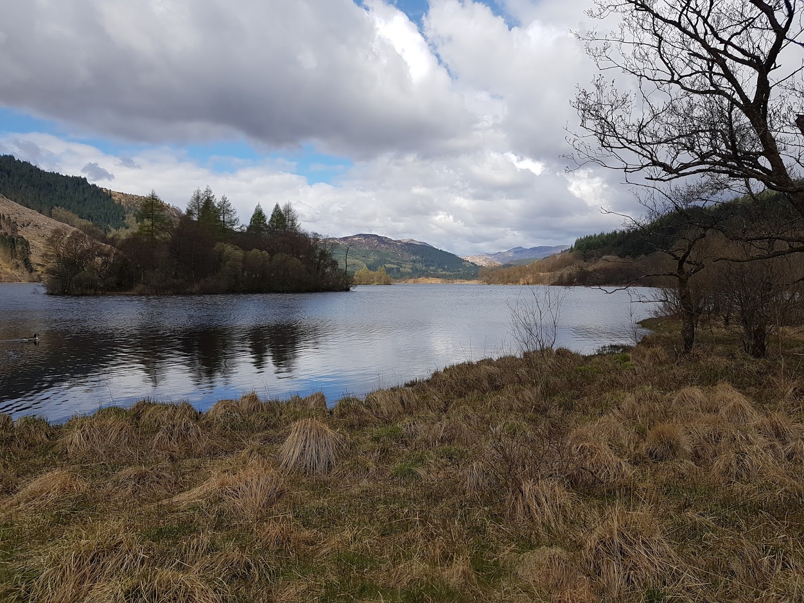Okiem Moniki: Loch Lomond & The Trossachs National Park