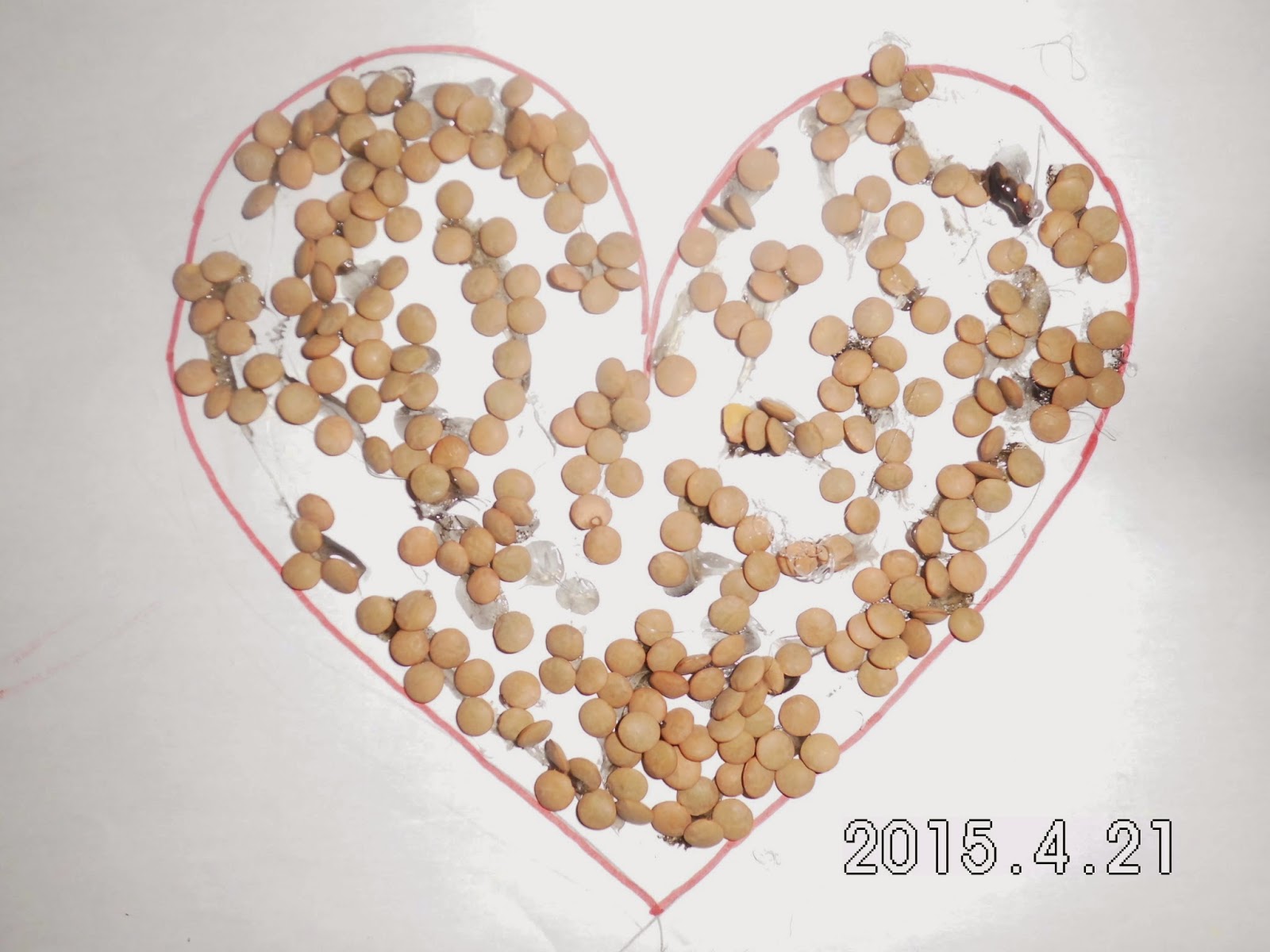 EL GRANULADO | Expresar y Crear