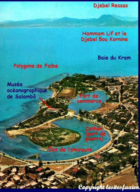 CULTURE et PATRIMOINE DE TUNISIE EN IMAGES- MOHAMED HAMDANE-ثقافة وتراث ...