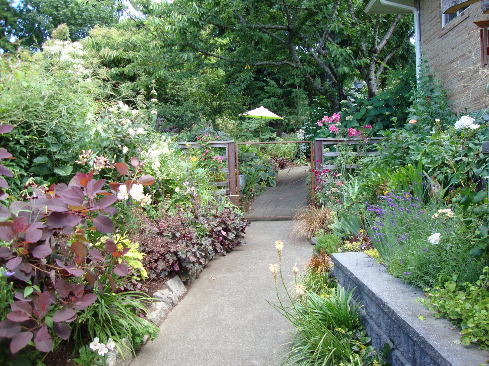 danger garden: The Birrell Garden, Garden Bloggers Fling, Seattle 2011….