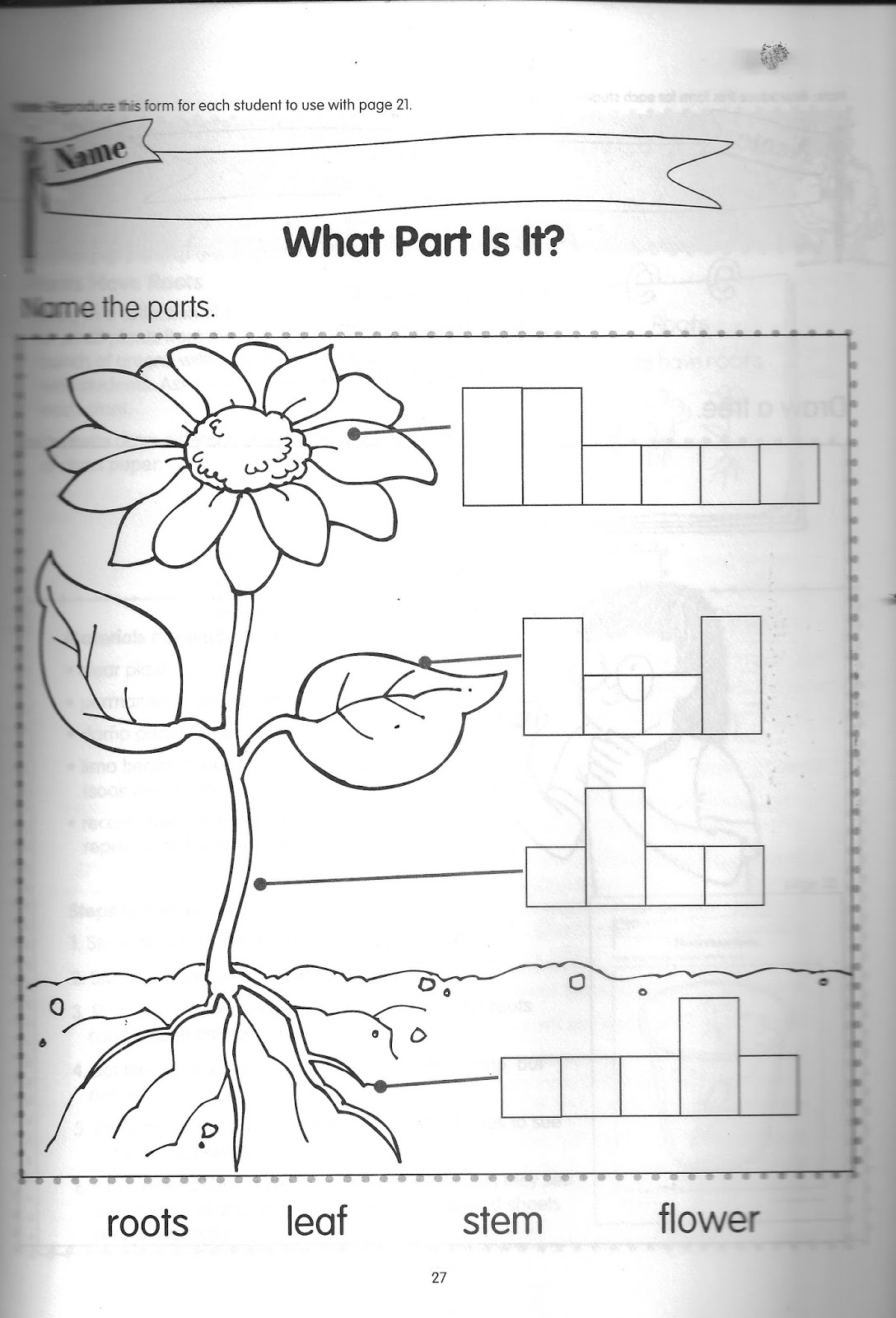 The City School Grade 3 Science 1st Class Test the-city-school-grade-3-science-1st-class-test