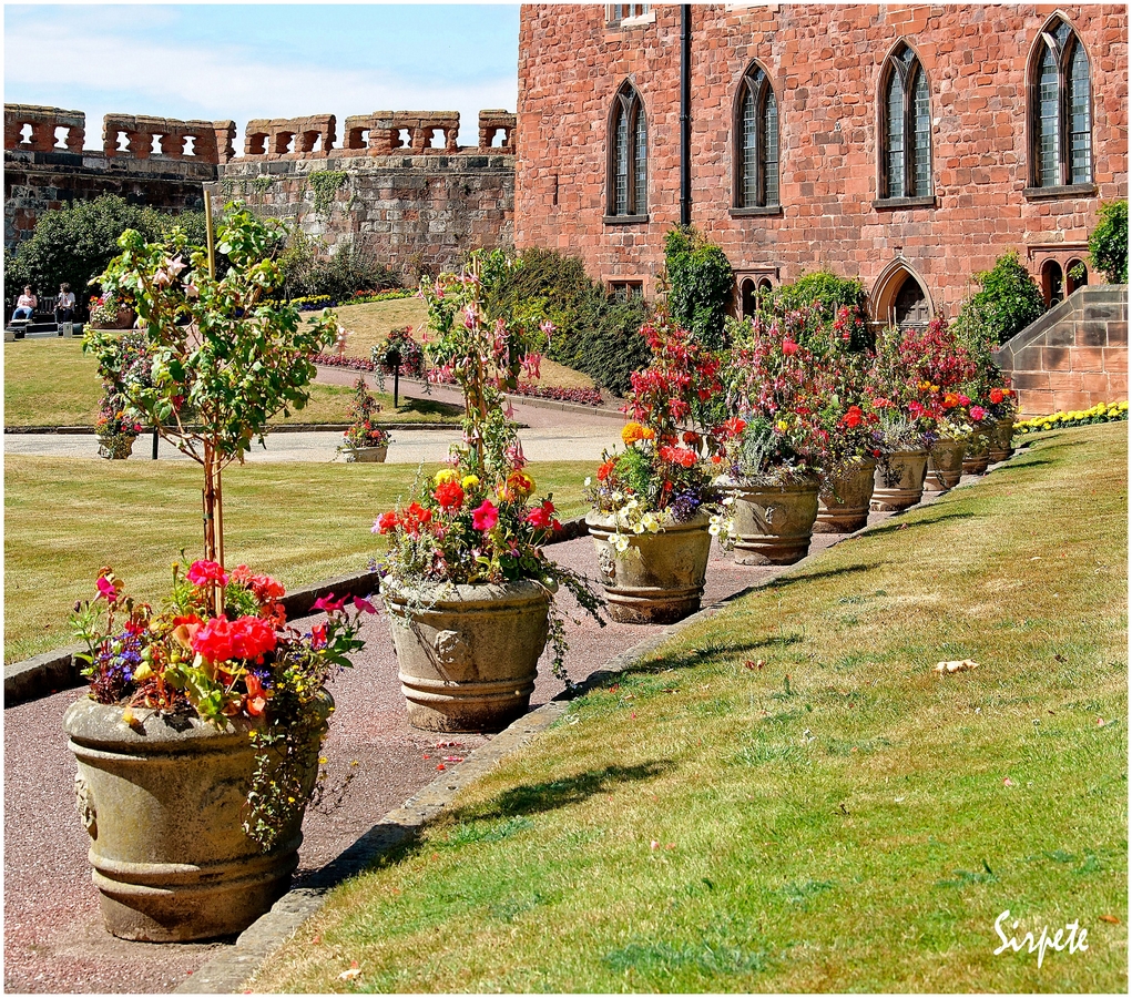 Sirpete's Pic's: August 2011