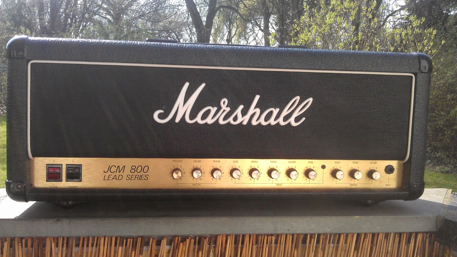 Marshall JCM800 "2205" och PPIMV