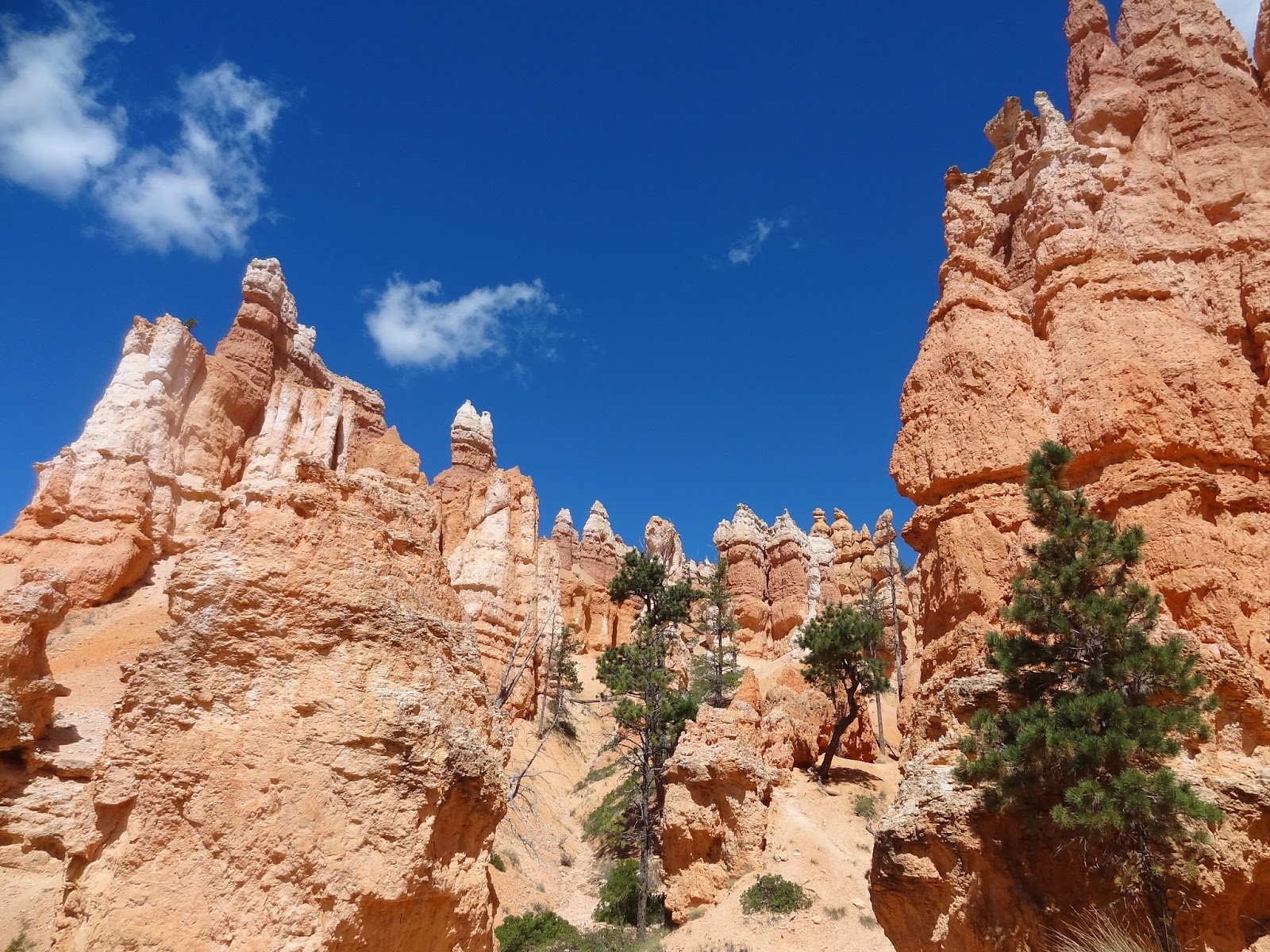 Live and Learn-Toss and Turn: Utah Vacation--Day 5, Bryce