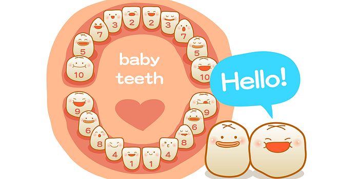 Why take care of baby teeth if they are going to fall out? - OdontoVida