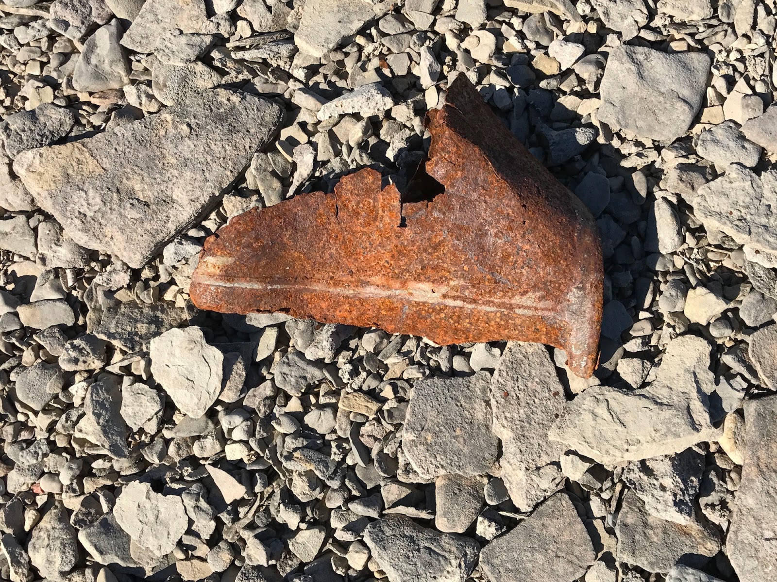 VISIONS OF THE NORTH: To find the hand of Franklin ...