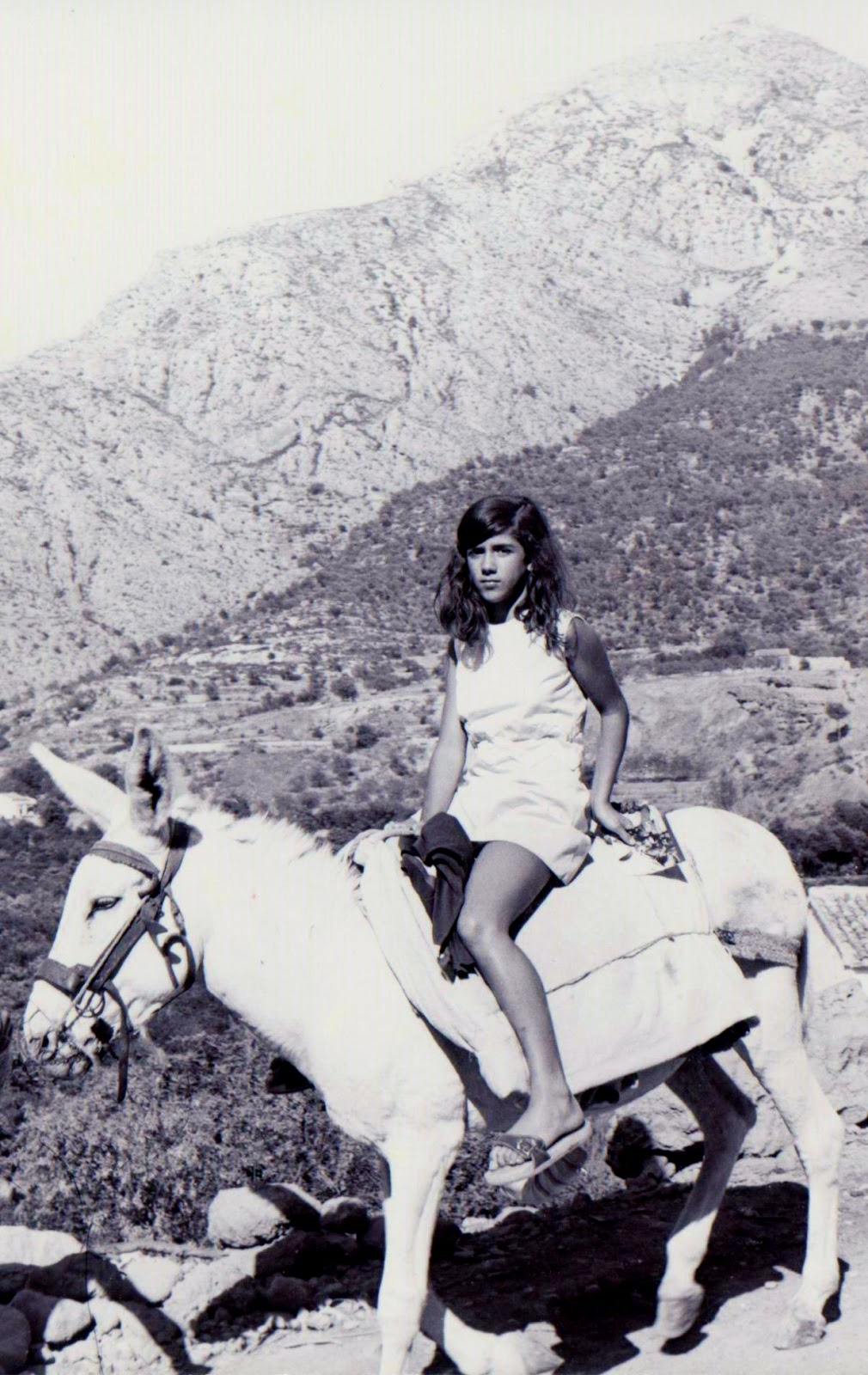 DEL CIPANGO AL SPANGO (memorias de ayer y de hoy en España y el Japón ...