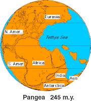 geografi lingkungan: Karakteristik Benua dan Samudra sebagai Kesatuan ...