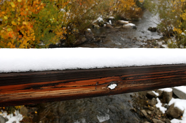 A photo, A thought............: Observation: Snow abstract....