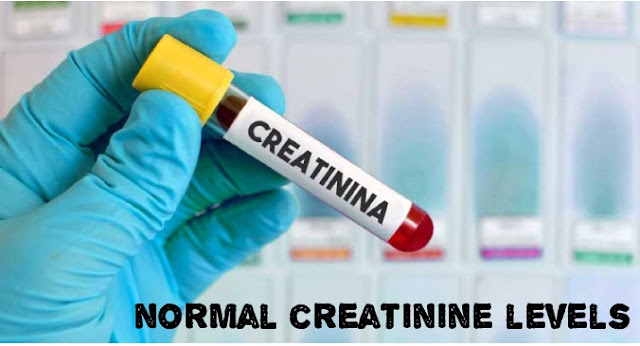 What is creatinine and What is normal creatinine levels