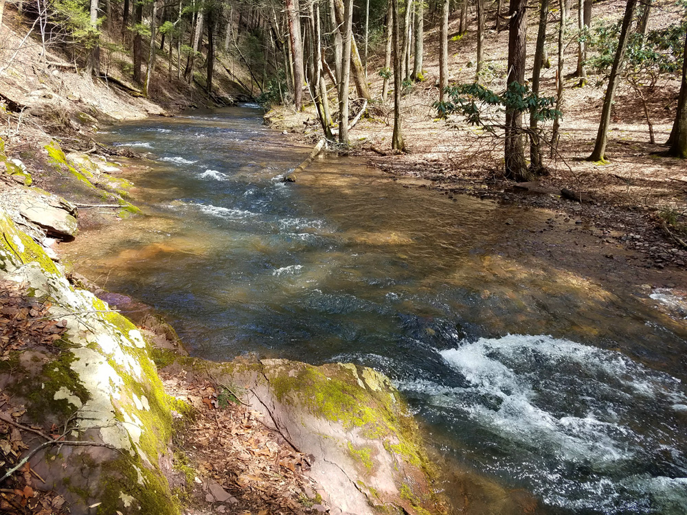 Hiking Trails in NJ and PA: Hiking the Van Campens Glen Trail
