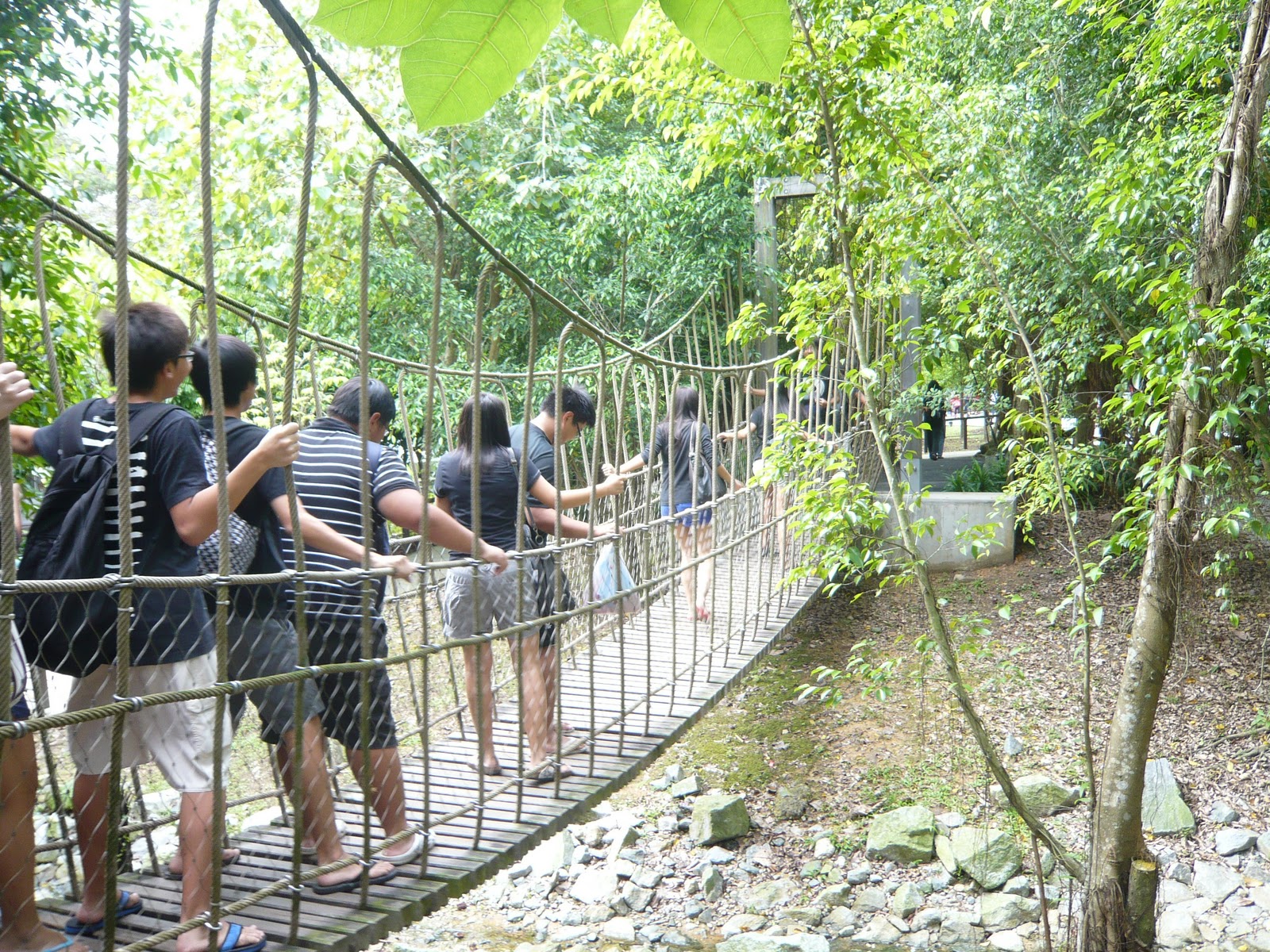 Singapore Local Tour: Garden Tour - Jacob Ballas Children's Garden