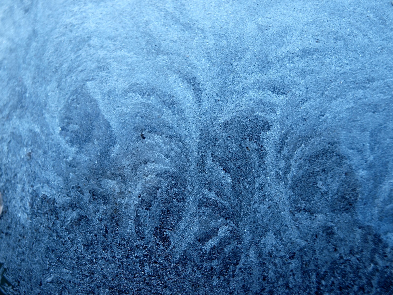 Mark's Veg Plot: Frost patterns - Nature's own artform
