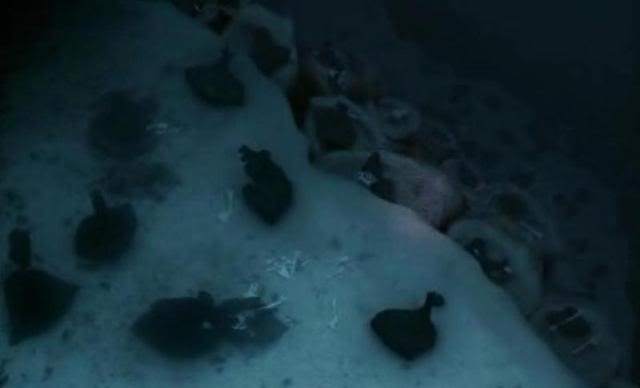 The Single-Seater Cinema: Dexter - A Review & Reflection