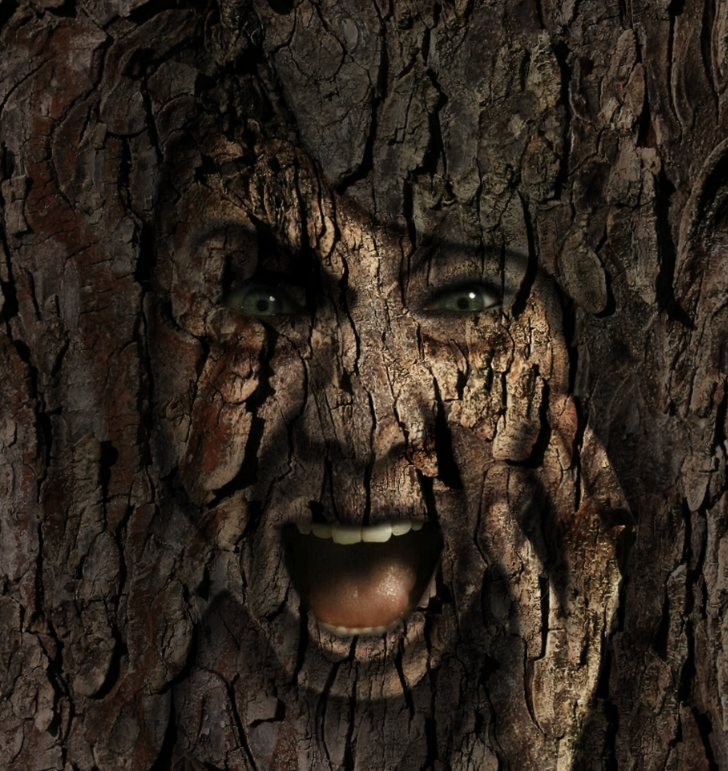 50 strangest phobias