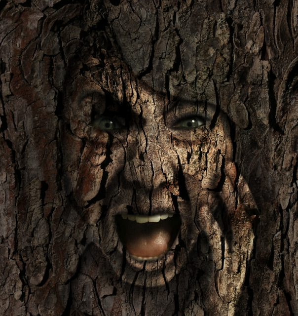 50 strangest phobias