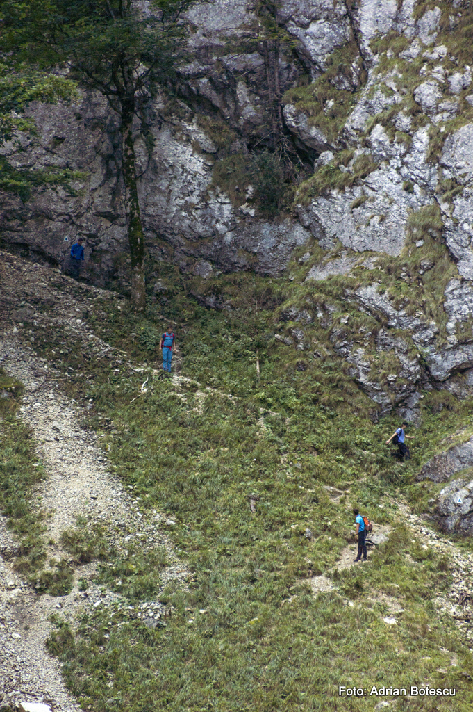 Poveştile mele: Aventurariţa! Cheile Cheii şi sălbăticia lor (Munţii ...