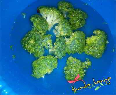 Resep Tumis Brokoli Saus Tiram dan Manfaatnya - Haniya Kitchen