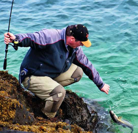 LRF Fishing Tips and Tackle