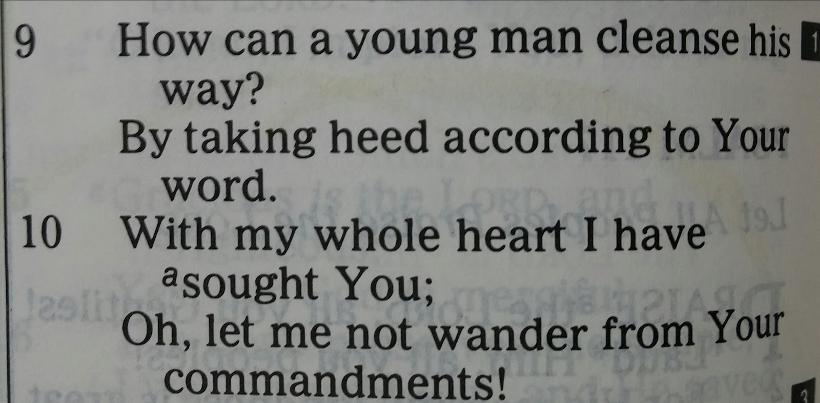 God s Word Our Destiny Can You Trust Your Bible 