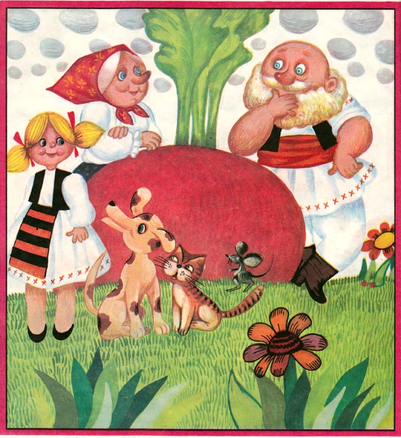 Anemone: Done Stan - Ridichea uriasa illustrations