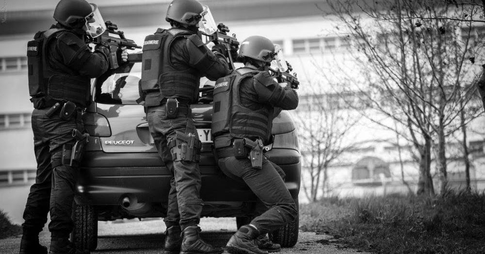 Gsg9 1/87 Unité spéciale: PSIG Sabre