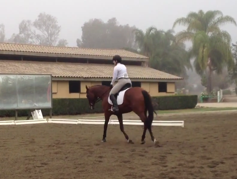 Eventing in Color: Eventing Explained: Scoring