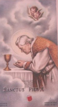 A Catholic Life: Photo Gallery: Pope St. Pius X