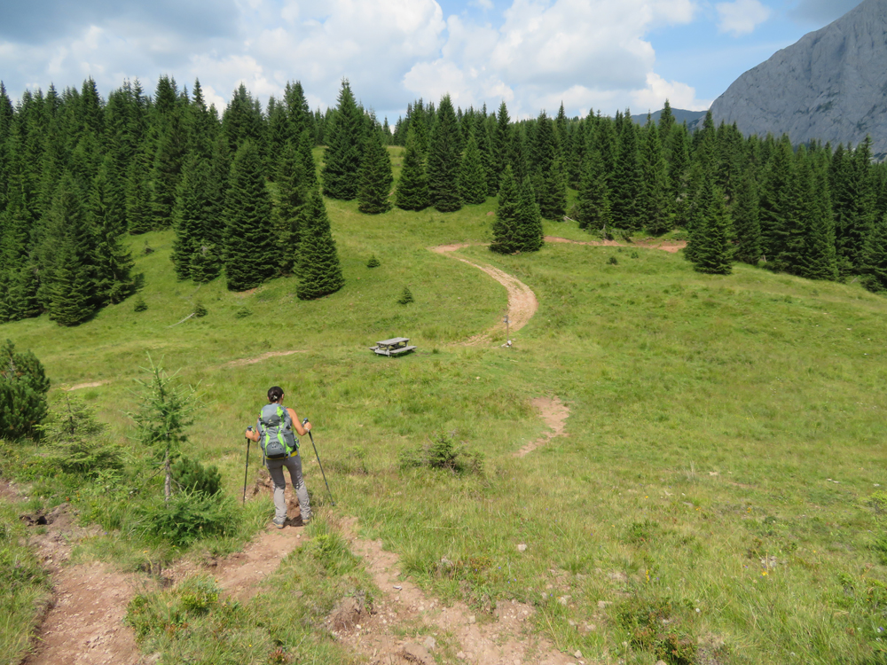 Escursionismo a 360°: Monte Lastroni (E/EE)