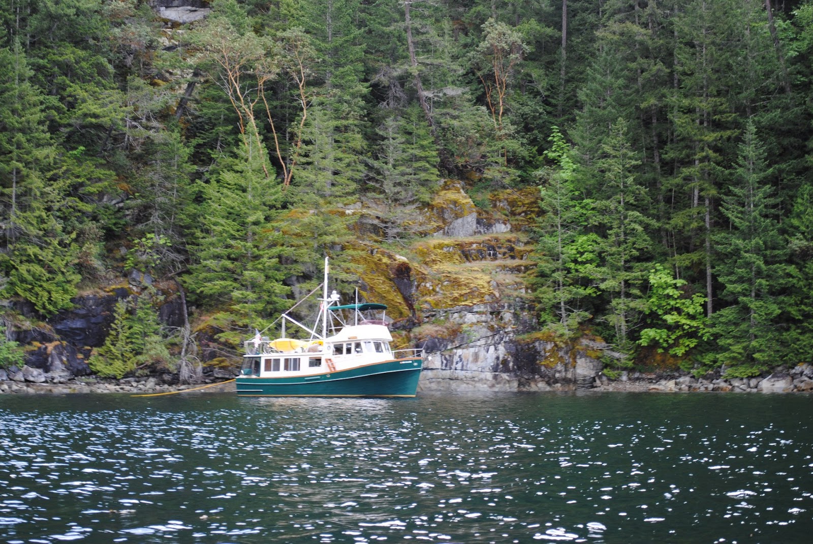 On "Cloud Nine": Desolation Sound and Cortes Island