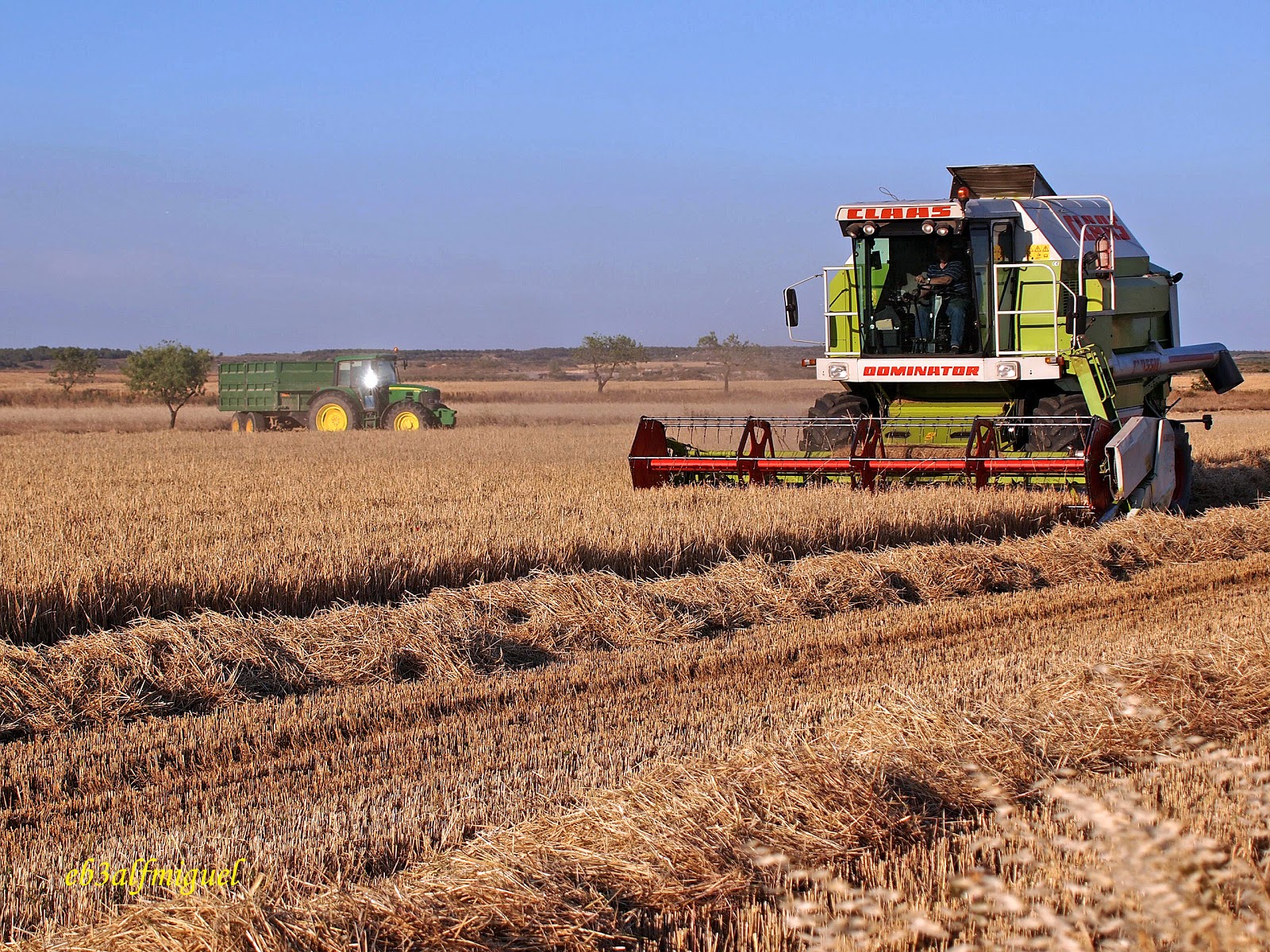 Miguel fotografia: Recogida de la Cosecha