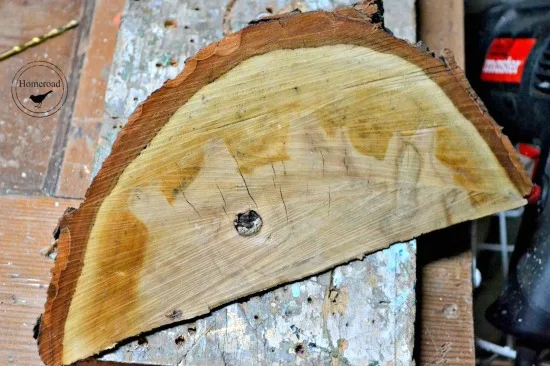 Repurposed DIY Tree Slice Shelves