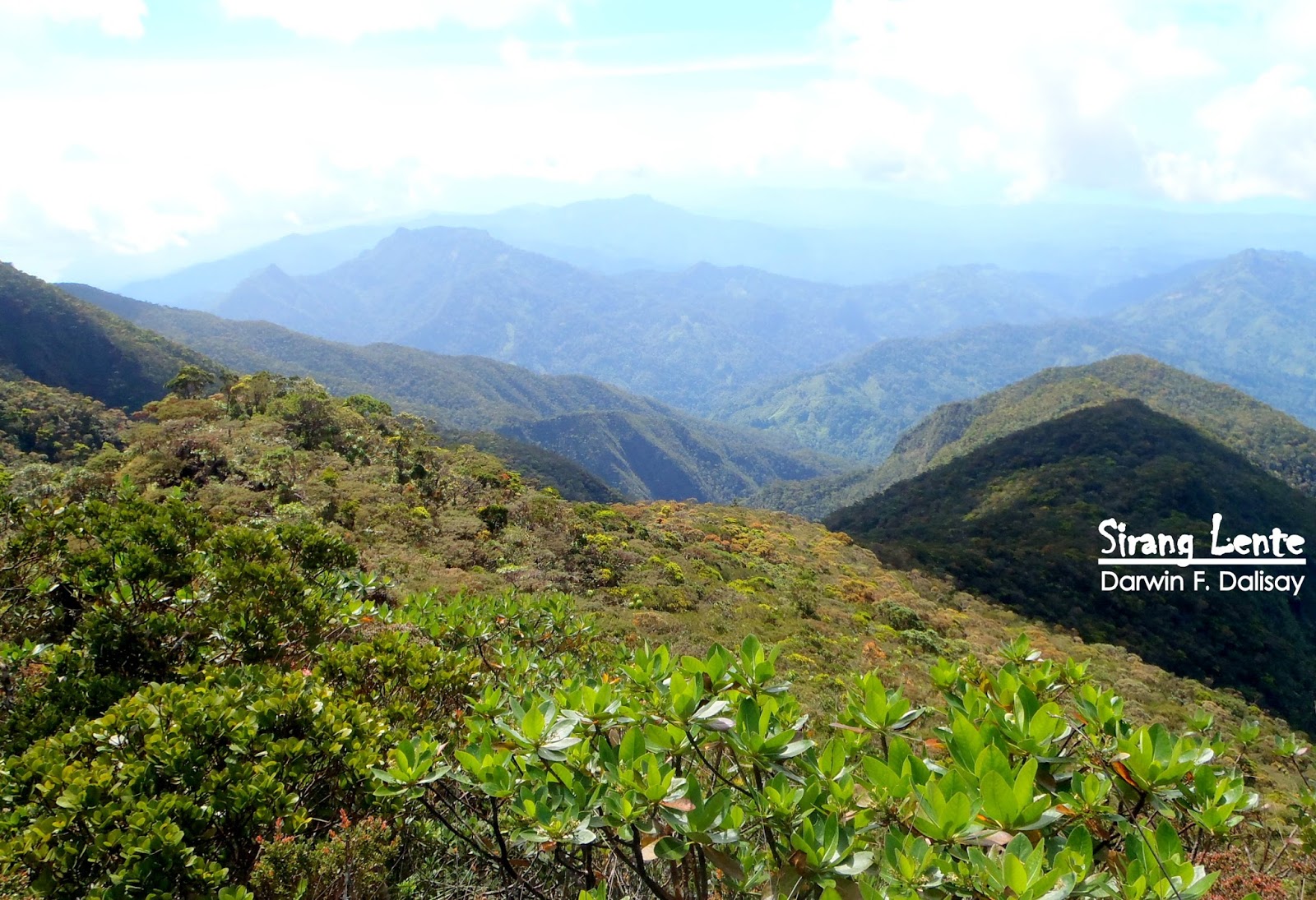 SIRANG LENTE: MT. MANTALINGAHAN, PALAWAN