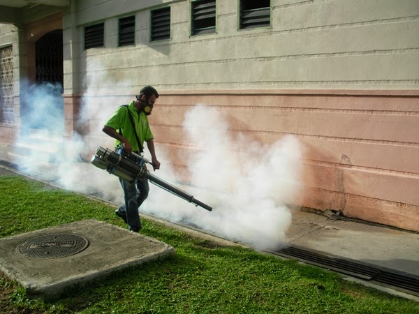 What is fumigation? | Facts About All