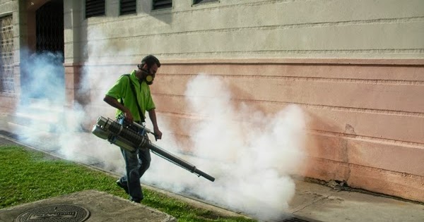 What is fumigation? | Facts About All
