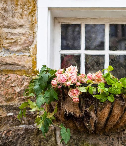 Donna's Art at Mourning Dove Cottage: Cottage window boxes