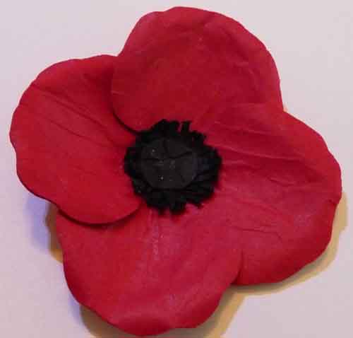 Paper Compulsions: Poppy tutorial