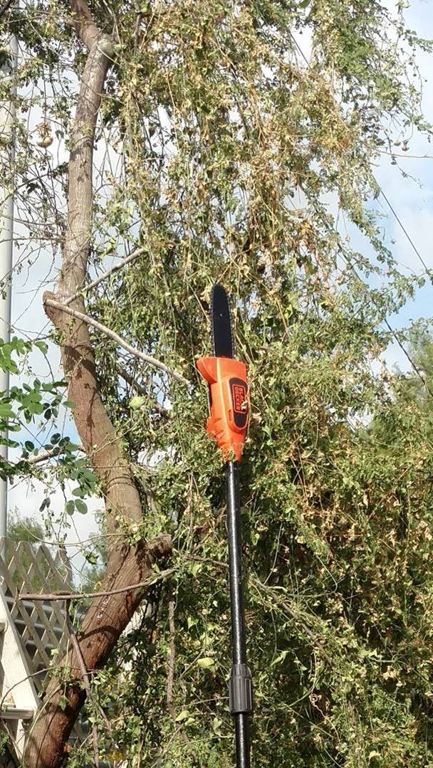 Chainsaw on a stick – Steve and Judy's Travels!