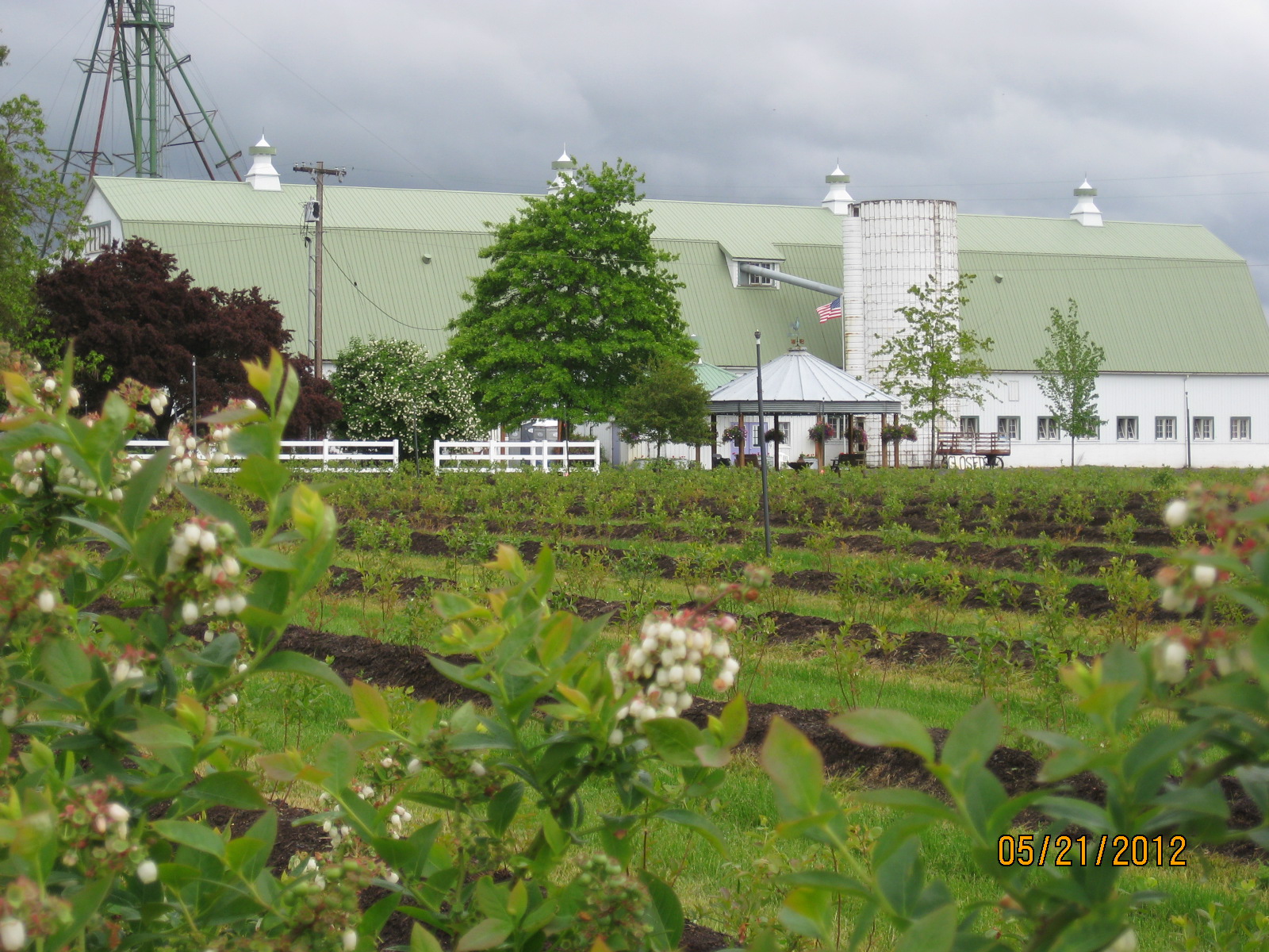 Columbia Farms U-Pick: 2012