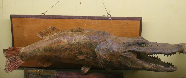 The Carpetbagger: The Abita Mystery House