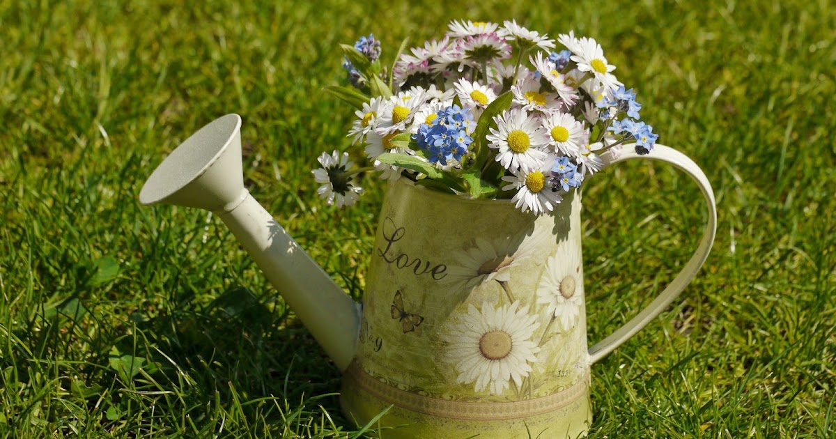 Unique and Beautiful Watering Options for your Gardens