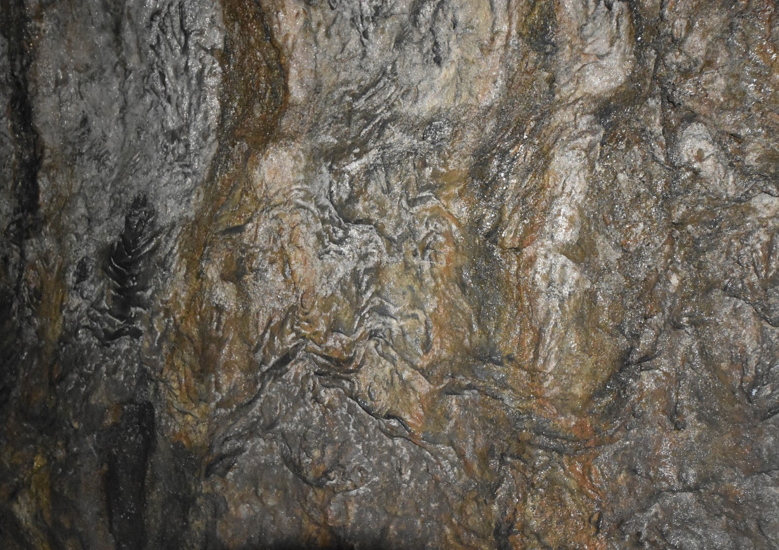 Fifty Shades of Retirement: The Legend of Bigfoot and Spelunking the ...