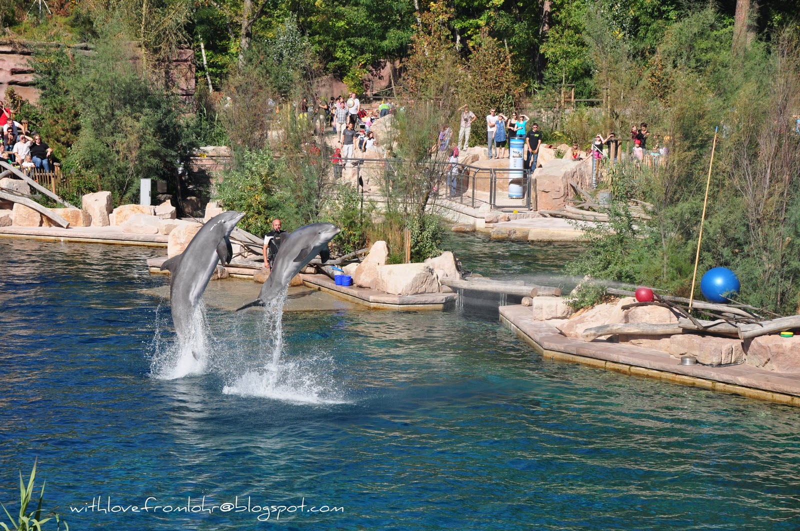 With Love from Lohr: Nürnberg Zoo.