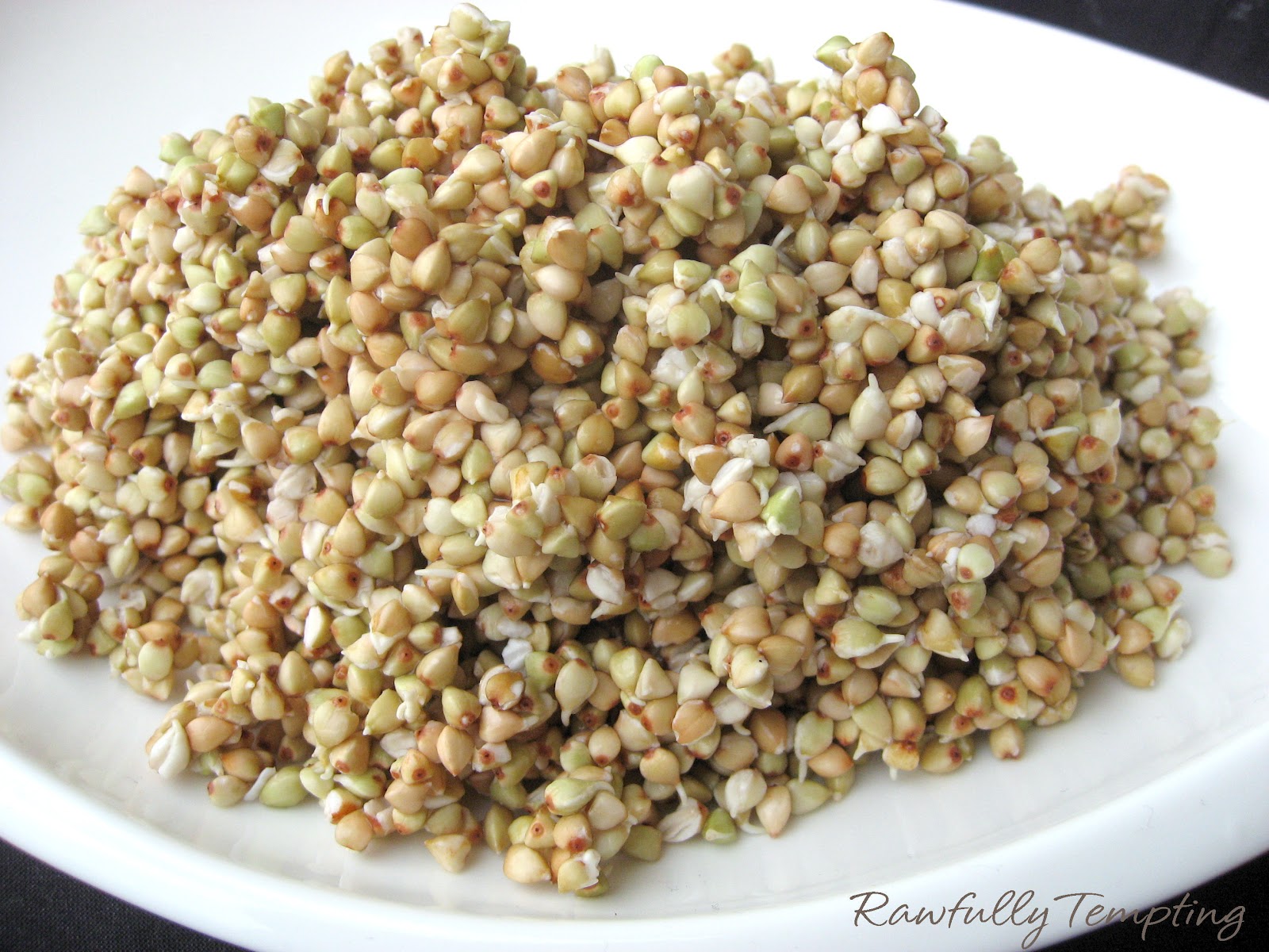 Sprouting Buckwheat