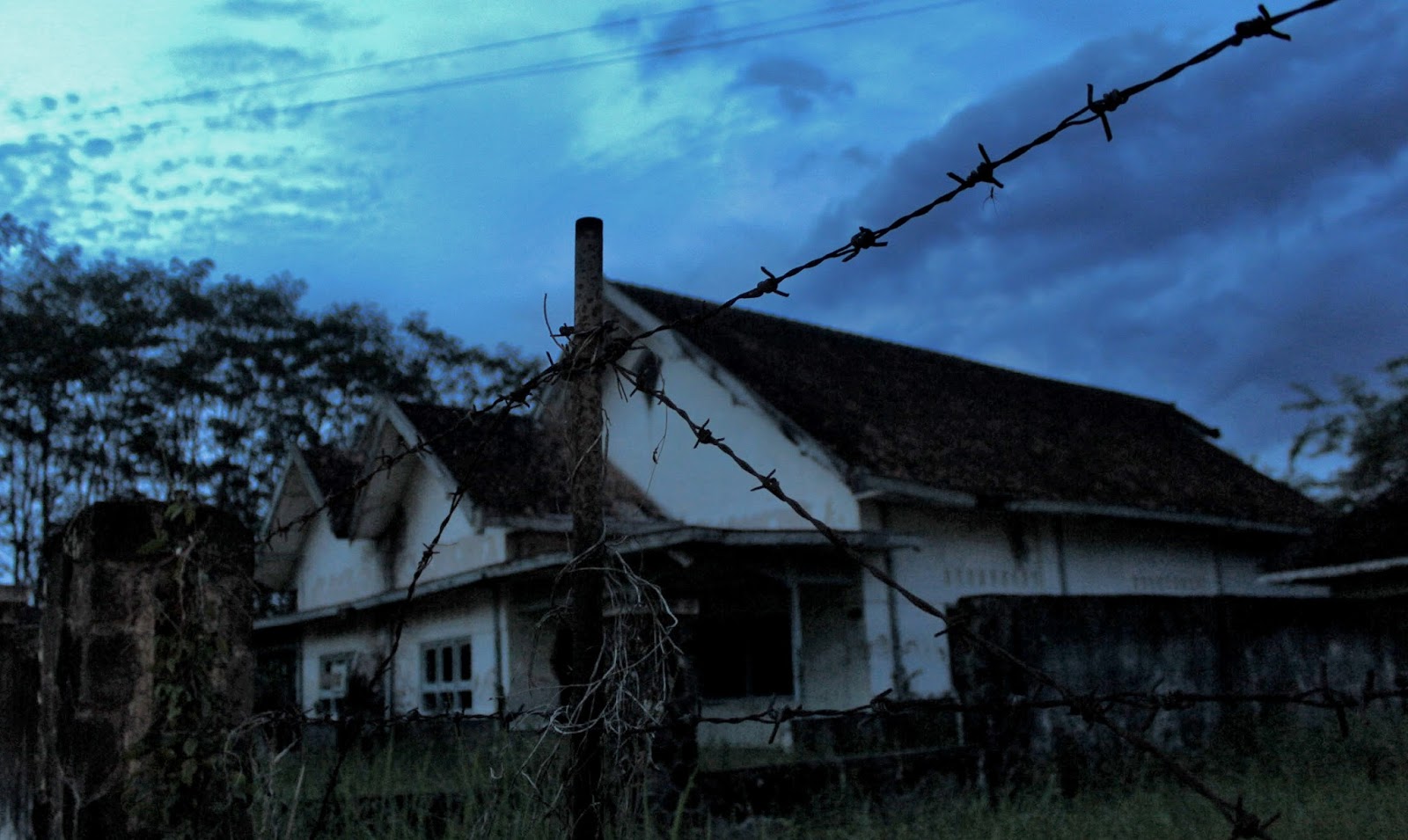 WT Nugroho: My Beloved Village, DELANGGU