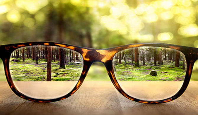 Discapacidad Visual: Contenido